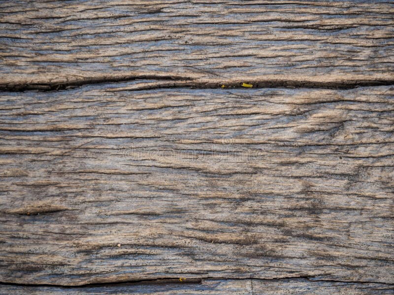 Wood texture close up stock image. Image of nature, chip - 60545183