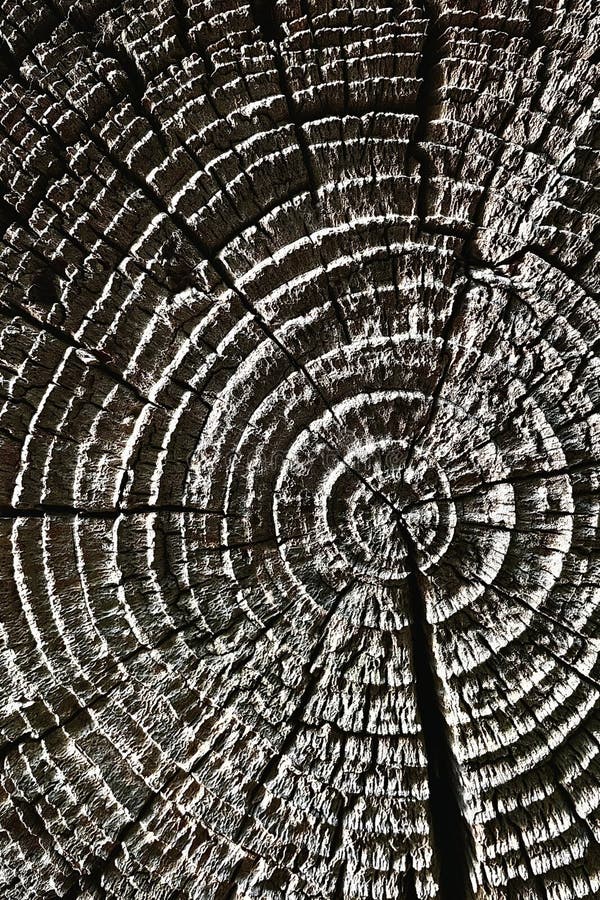 Wood texture close up stock image. Image of close, grain - 300741635