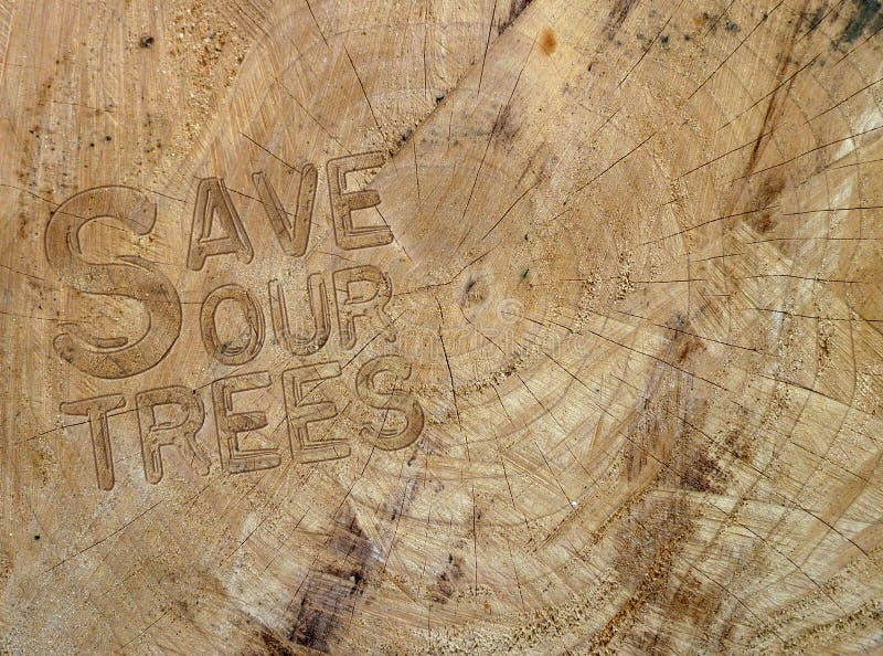 Wood texture stock photo. Image of close, material, round - 58604248