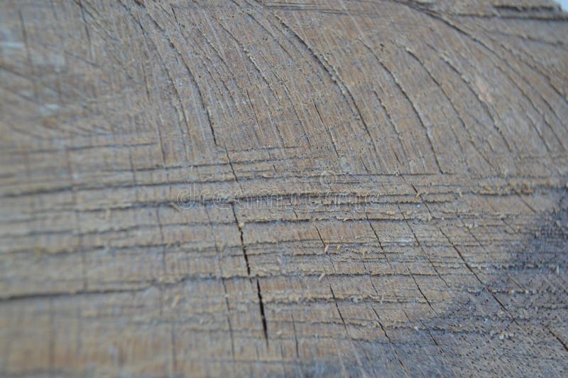 Wood Texture Closeup Structure of Sawn Timber Stock Image - Image of ...