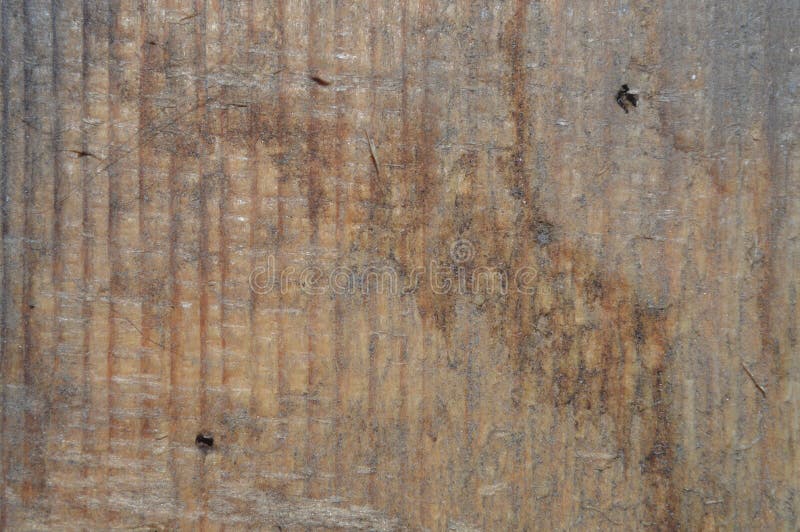 Wood Texture Closeup Structure of Sawn Timber Stock Image - Image of ...