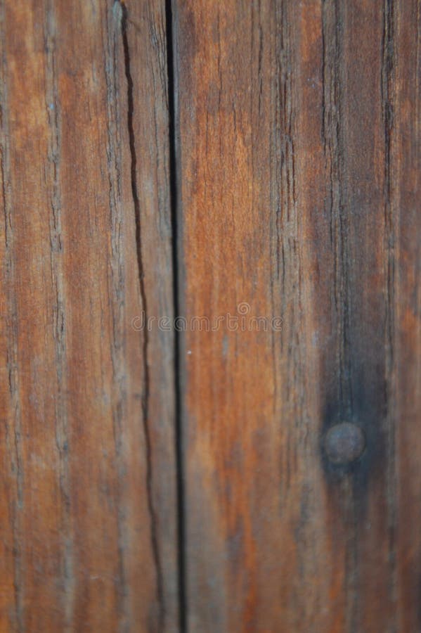 Wood Texture Closeup Structure of Sawn Timber Stock Image - Image of ...
