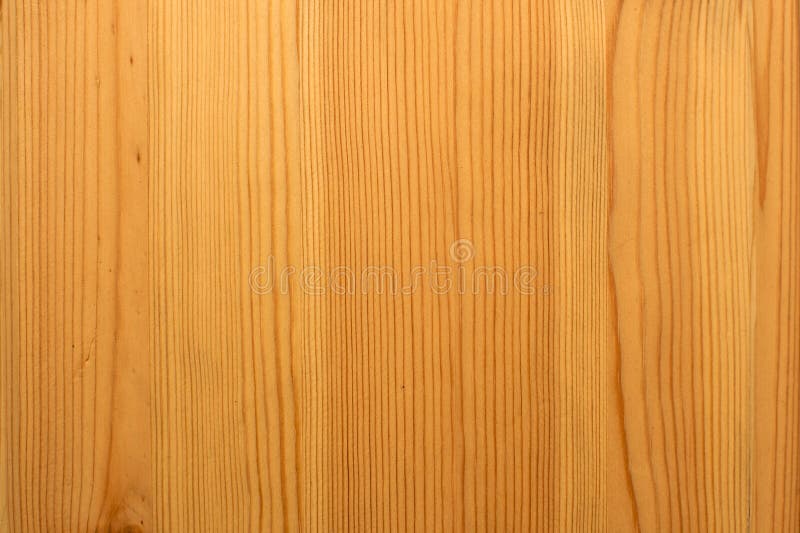 Wood Texture - Conifer Picture. Image: 7812878