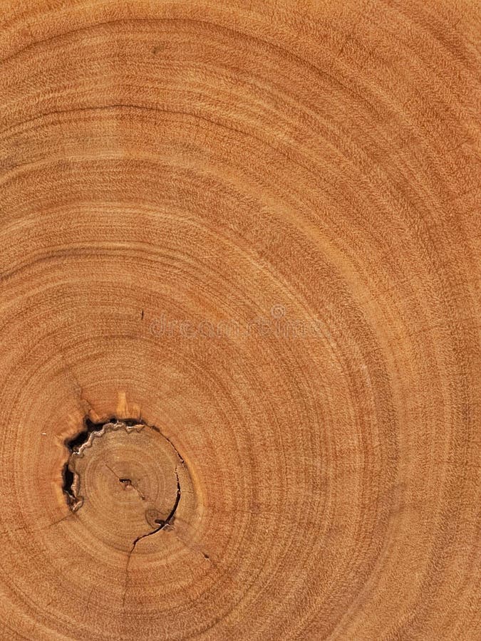 Wood texture stock image. Image of sustainability, nature - 374790181