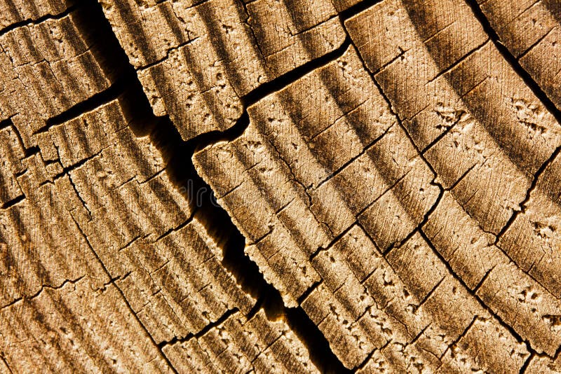 Wood texture with a crack stock image. Image of surface - 30692893