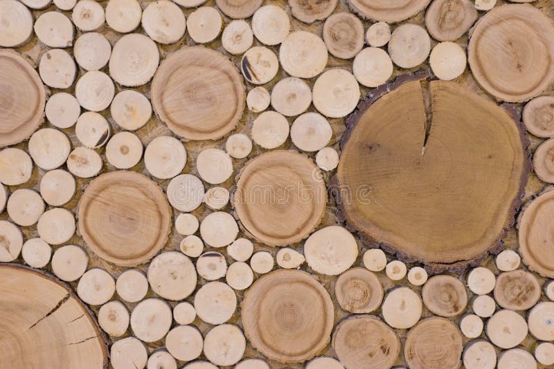 Wood Texture of a Cut of a Round Tree on a Cut, Various Caliber ...