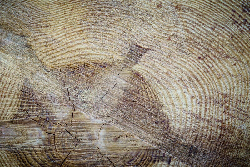 Old Wood Tree Rings Texture Stock Image - Image of aging, detail: 99553483 Old Wood Tree Rings Texture Stock Image - Image of aging, detail: 99553483