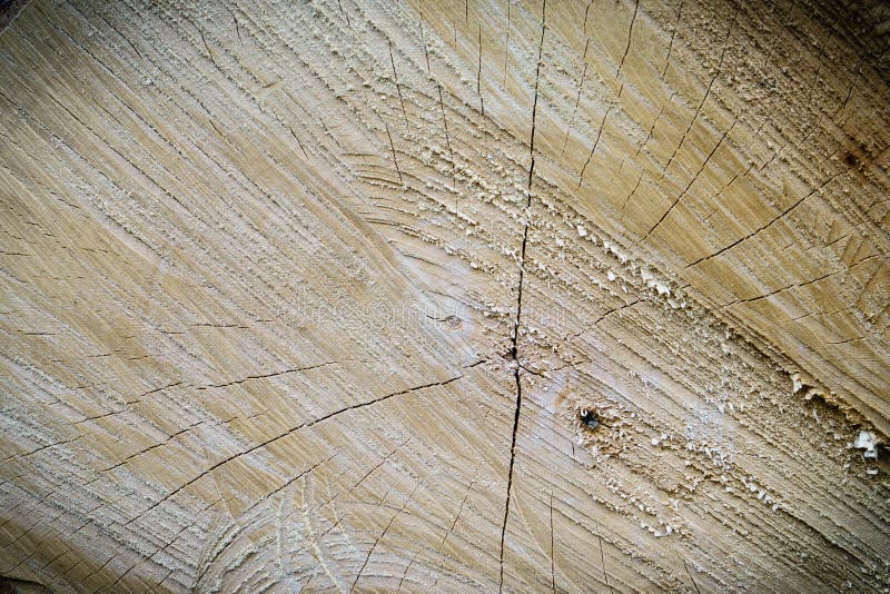 Old Wood Tree Rings Texture Stock Photo - Image of fuel, concentric ... Old Wood Tree Rings Texture Stock Photo - Image of fuel, concentric ...