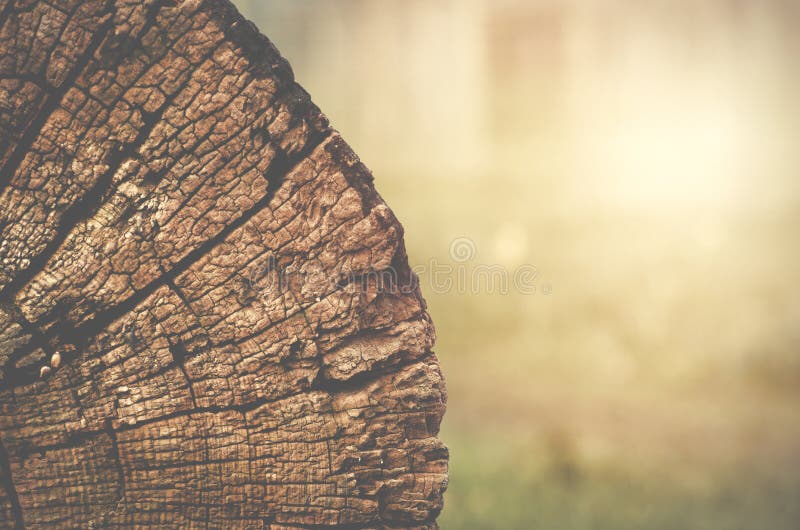 A Close Up Section of Horizontal, Overlap Wooden Garden Fence in Stock ...