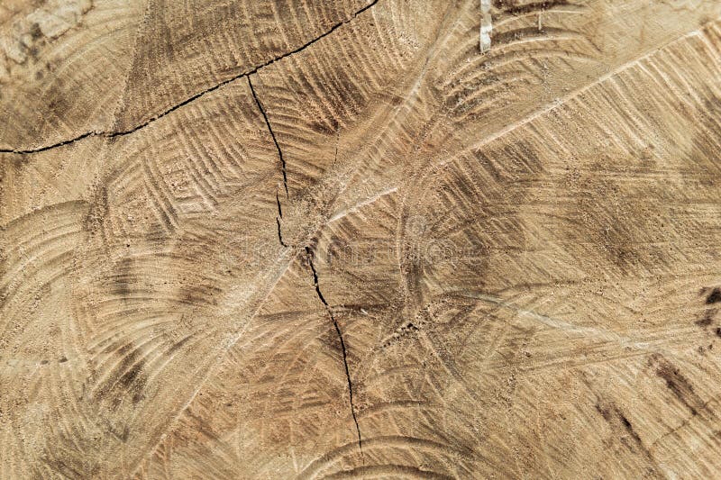 Tree Rings Old Weathered Wood Texture with the Cross Section of a Cut ... Tree Rings Old Weathered Wood Texture with the Cross Section of a Cut ...