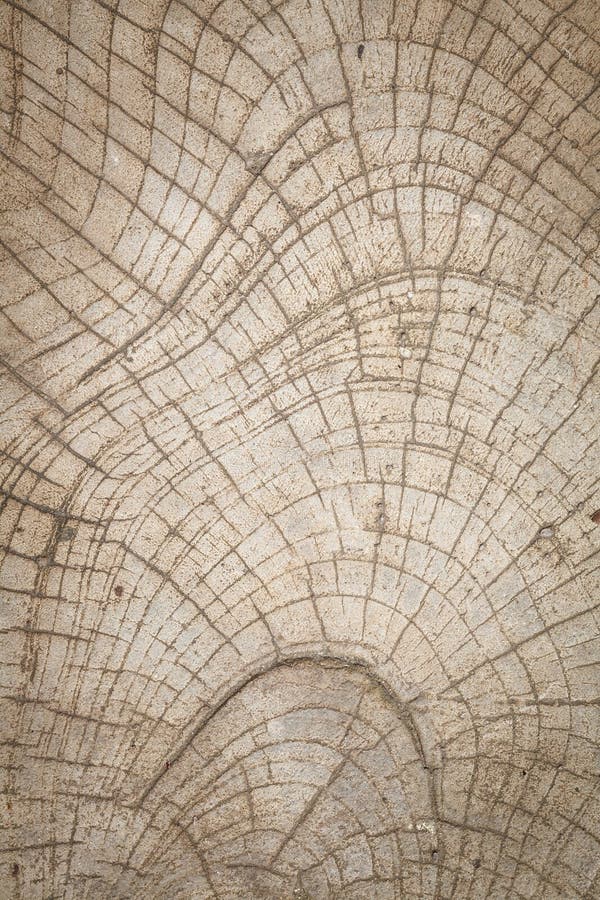 Wood texture stock image. Image of striped, ring, organic - 34926943