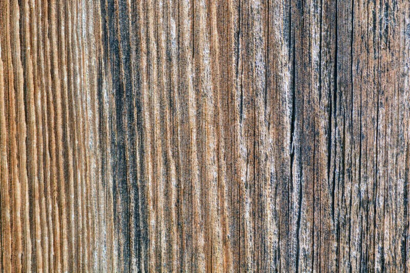 Wood Texture. Wood Texture for Design and Decoration Stock Photo ...