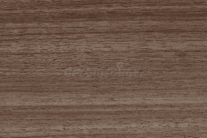 Wood Texture for Design and Decoration Stock Image - Image of hardwood ...