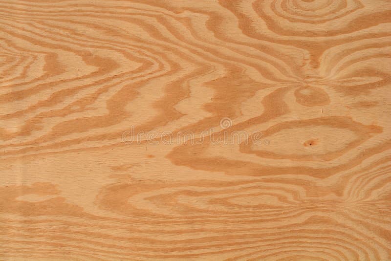 Wood texture stock photo. Image of detail, natural, wood - 237505300
