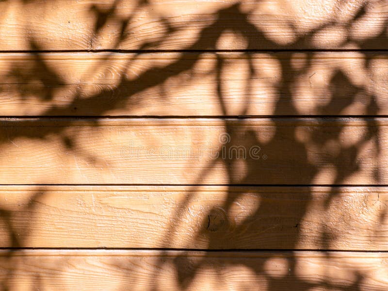 Wood Texture and Different Shadows Stock Image - Image of decorative ...