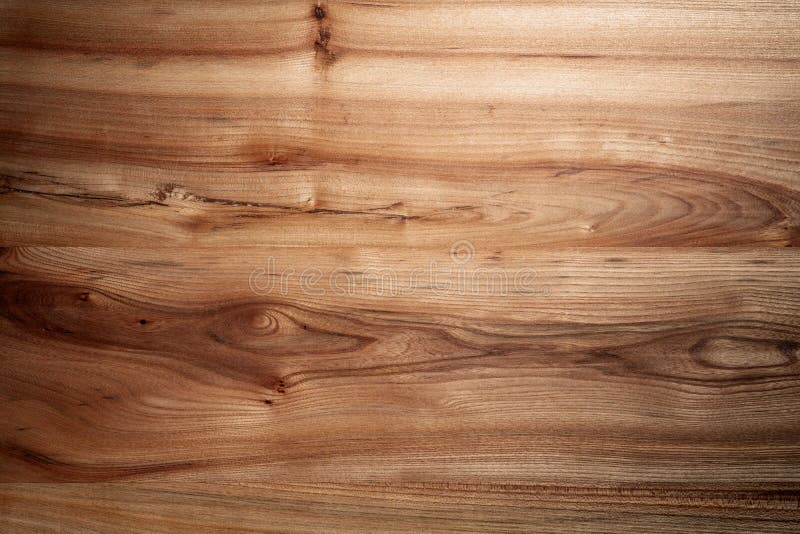 Wood texture elm stock image. Image of beech, hardwood - 209682863