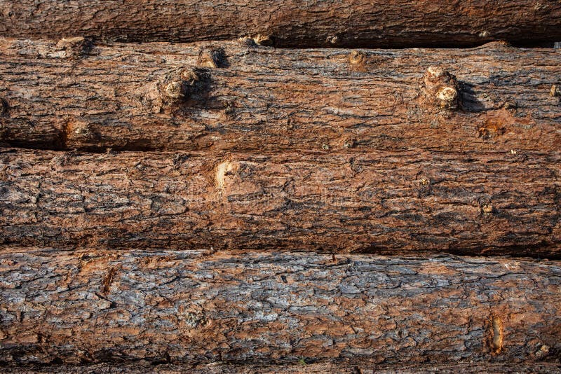 Wood texture stock image. Image of rough, tree, wooden - 92010541