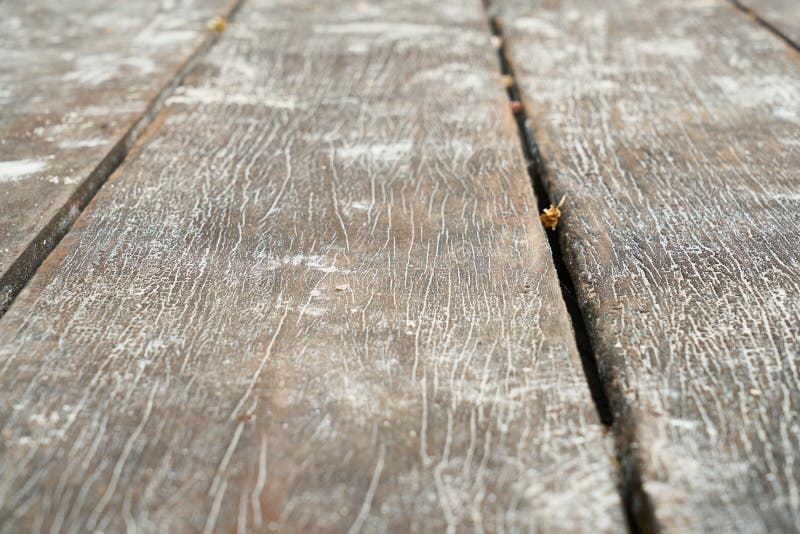 Wood, Floor, Flooring, Wood Stain Picture. Image: 114228307