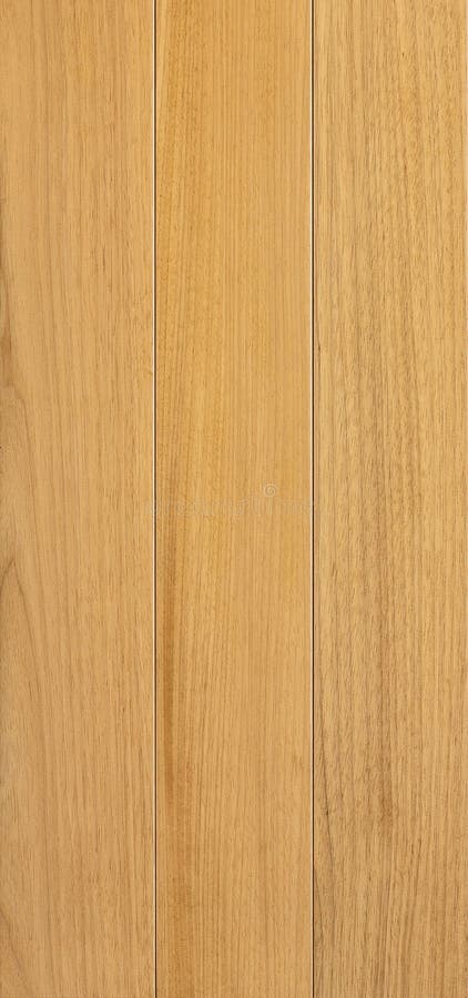 Tauari Board Stock Photos - Free & Royalty-Free Stock Photos from ...