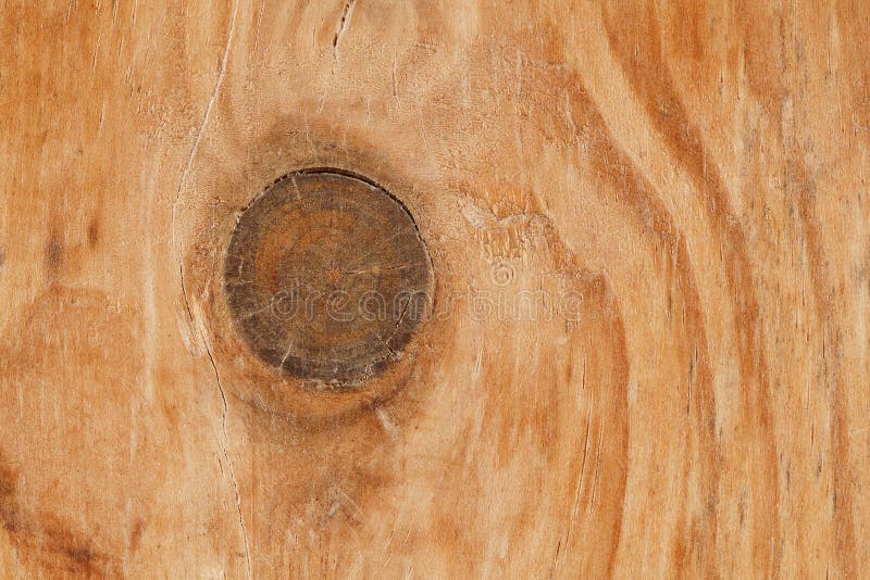 Wood Texture and Gnarl for Pattern and Background Stock Photo - Image ...