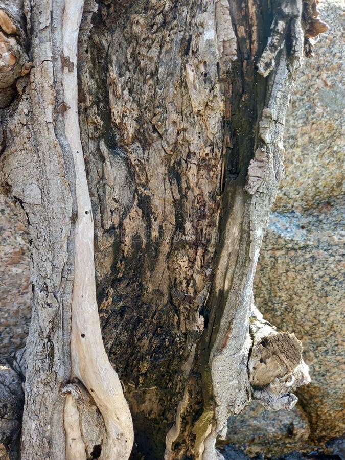 Wood Texture with Granit Stone Background Stock Image - Image of ruins ...