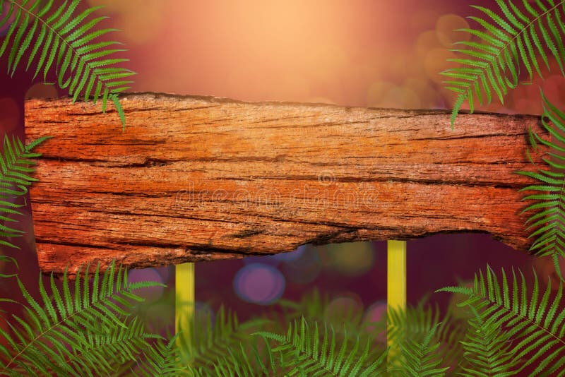 Wood texture Green trees stock image. Image of leaf, drop - 88040943