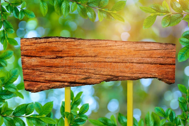 Wood Texture Green Trees and Leaf Greenery Stock Photo - Image of ...