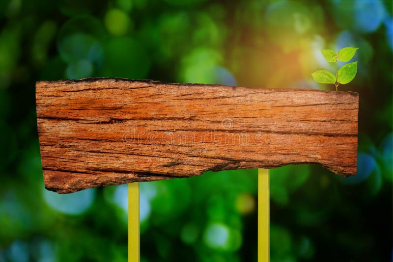 Wood Texture Green Trees and Leaf Greenery Stock Photo - Image of ...