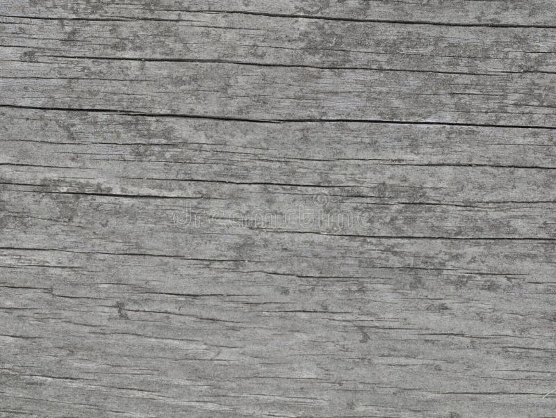 Wood texture grey stock image. Image of rustic, hard - 91689983