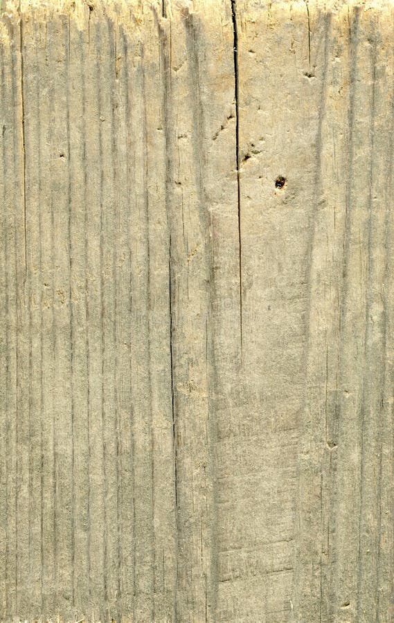 Wood Texture High Resolution Scanned at 1200dpi Stock Photo - Image of ...