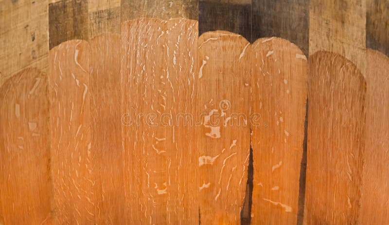 Wood Texture on the Inside of Oak Barrel for Wine Stock Image - Image ...