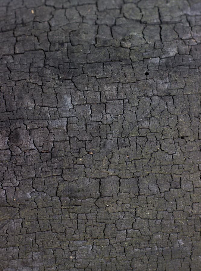 Wood texture stock photo. Image of asphalt, particles - 79484474
