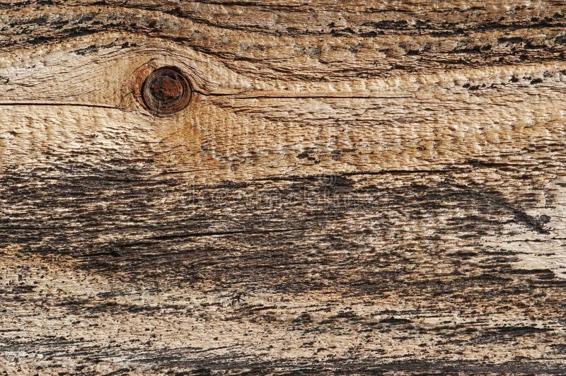 Wood texture with knot stock image. Image of ragged, rings - 25640147