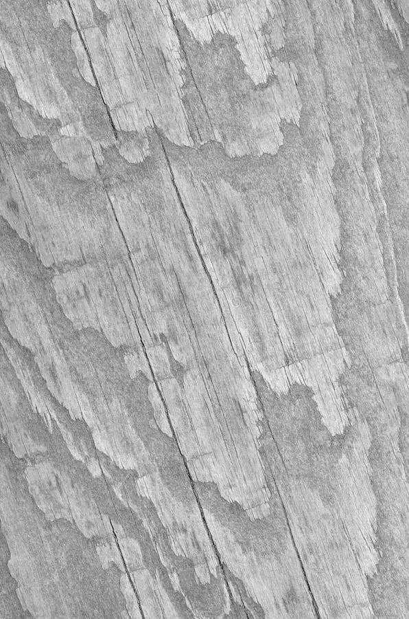 Wood Texture. Lining Boards Wall. Wooden Background Pattern Stock Photo ...