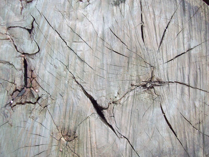 Wood texture lumber stock photo. Image of texture, wood - 168451732