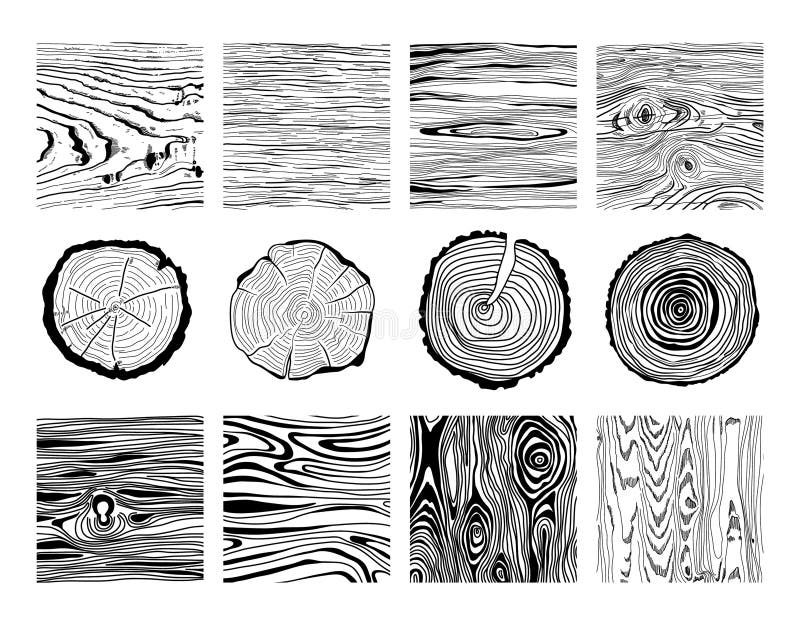 Circular Sawlog Stock Illustrations – 1 Circular Sawlog Stock ...