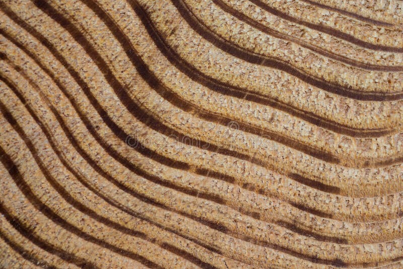 Wood Texture, Natural Color and Pattern Stock Image - Image of innate ...