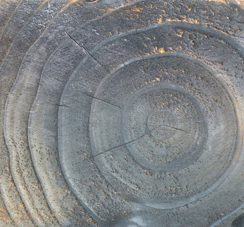 Wood Texture that is a Natural Wood Core Stock Image - Image of nature ...