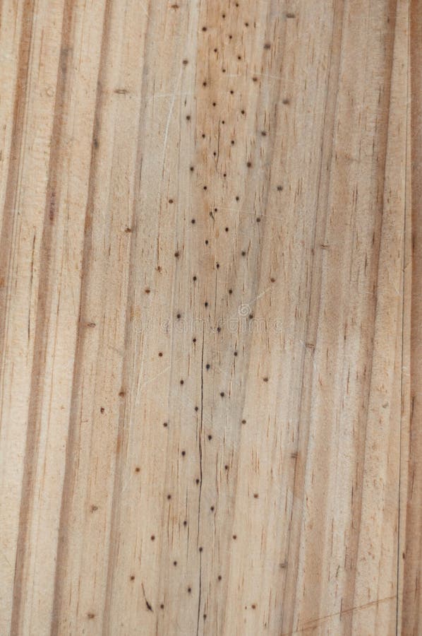 Wood Texture with Natural Dots. Stock Photo - Image of table ...