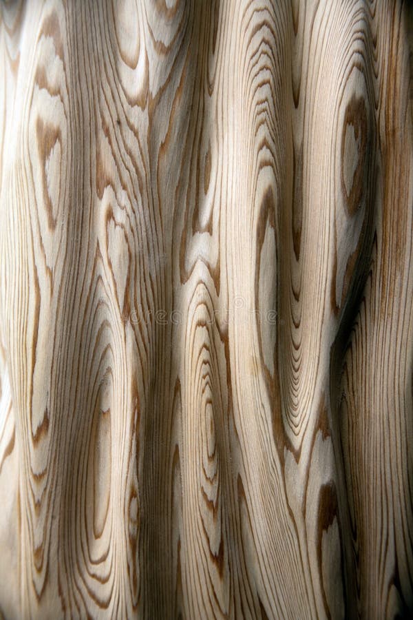 Wood Texture of the Natural Huge Tree Roots Stock Photo - Image of ...