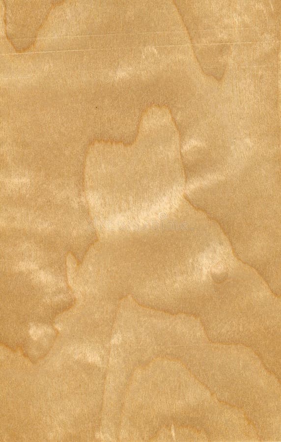 Wood Texture with Natural Pattern Stock Image - Image of panel ...