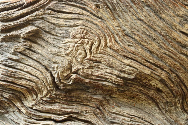Wood Texture with Natural Pattern for Design and Decoration Stock Photo ...