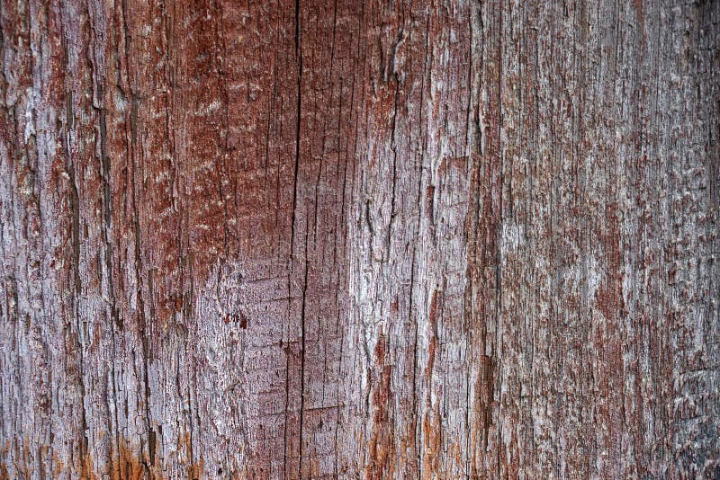 Wood Texture with Natural Pattern. Old Paint Stock Image - Image of ...