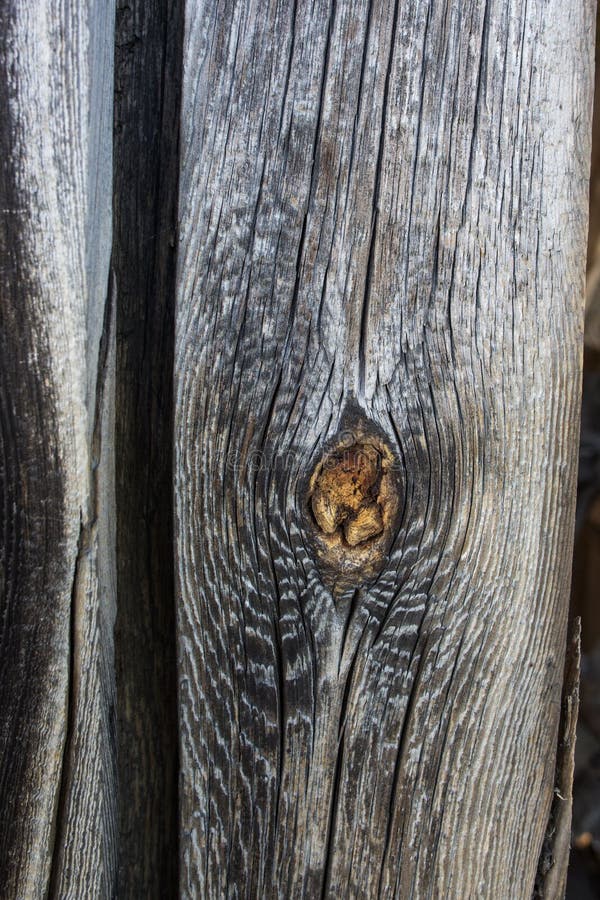 Wood Texture with Natural Patterns, Old Wood with Knots Stock Image ...
