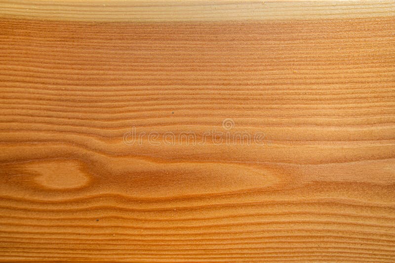 Wood Texture. Natural Wooden Tree Trunk. Wood Grain Pine. Much Mixed ...