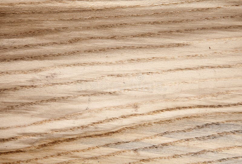 Wood texture oak stock image. Image of structure, abstract - 22121695