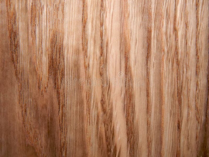 Wood Texture. Oak Tree Sheet Surface Stock Image - Image of parquet ...