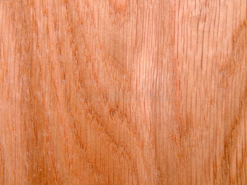 Wood Texture. Oak Tree Sheet Surface Stock Image - Image of parquet ...