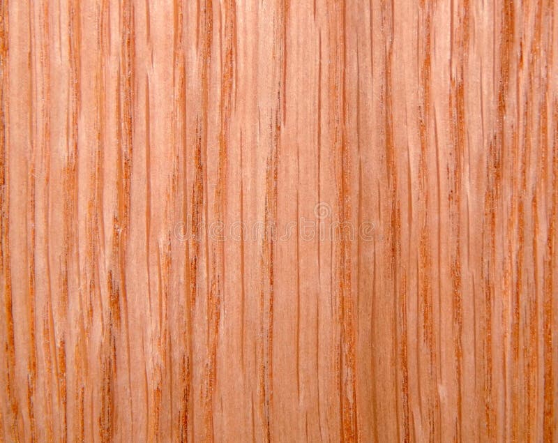 Wood Texture. Oak Tree Sheet Surface Stock Image - Image of rustic ...