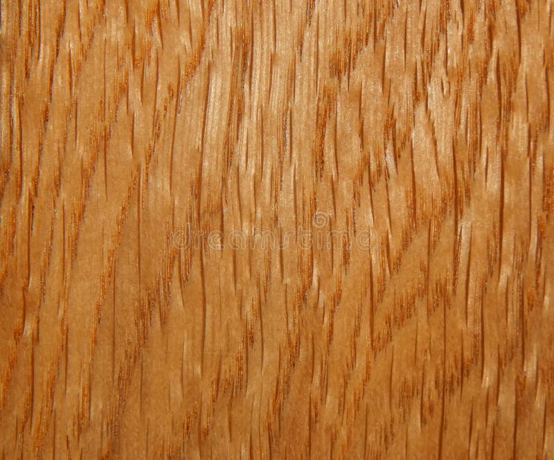Wood Texture. Oak Tree Sheet Surface Stock Image - Image of decorative ...